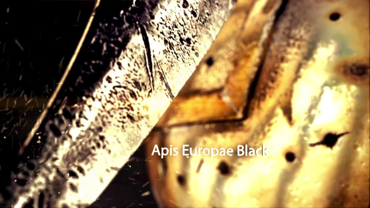 Battle of Bucharest 2017 - Grand Finals Teaser