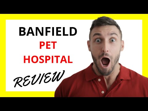 🔥 Banfield Pet Hospital Review: Pros and Cons