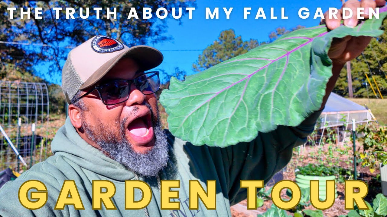 November Garden Tour 🌱 What’s Really Thriving (and What’s Not)