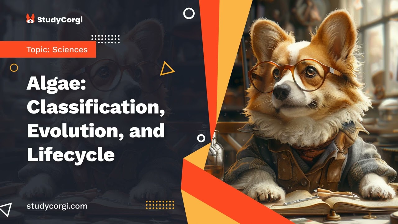 Algae: Classification, Evolution, and Lifecycle - Research Paper Example