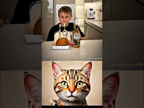 Birthday surprise party #cat #dance #meme #trending