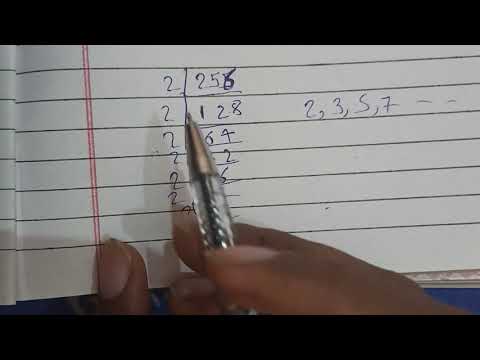 prime factors of 256