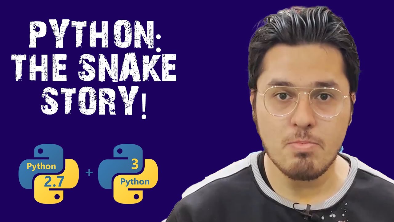 Python Programming and snake 🐍