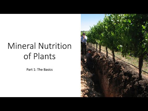 Mineral Nutrition of Plants: Part 1, the Basics