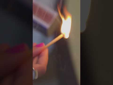 Palo Santo Candle