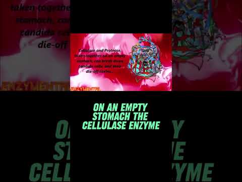 Fighting Candida with enzymes: Cellulase and Protease #shorts