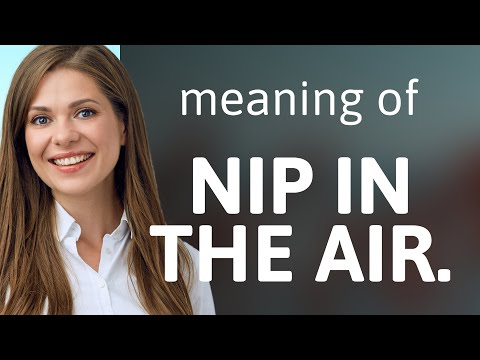 Understanding the Phrase "Nip in the Air"