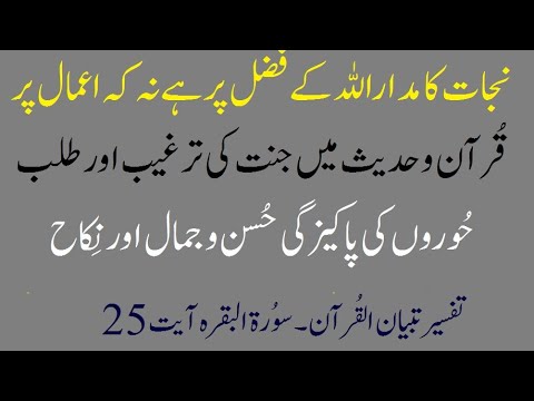 Surah Al Baqrah Tafseer Tibyan Ul Quran By Allama Gulam Rasool Saeedi 22/313