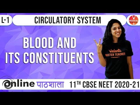 Neet Biology-Circulatory System- Blood and Its Constituents-L1-Vedantu ...
