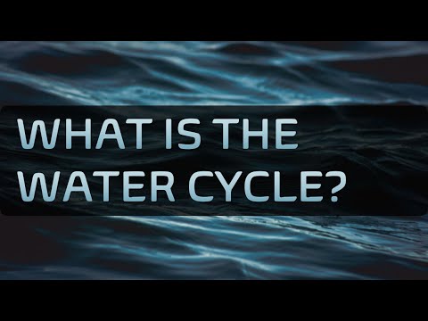 What is the Water Cycle?