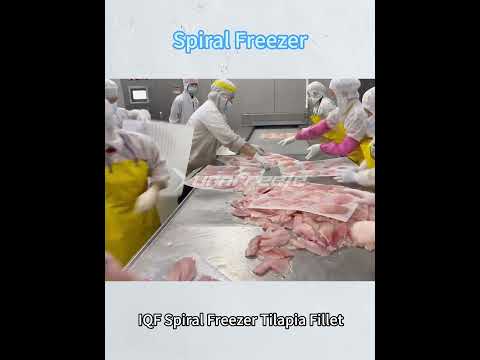 IQF Spiral Freezer Freezing Tilapia Fillet #iqf #spiralfreezer #freezing #frozenseafood #tilapia