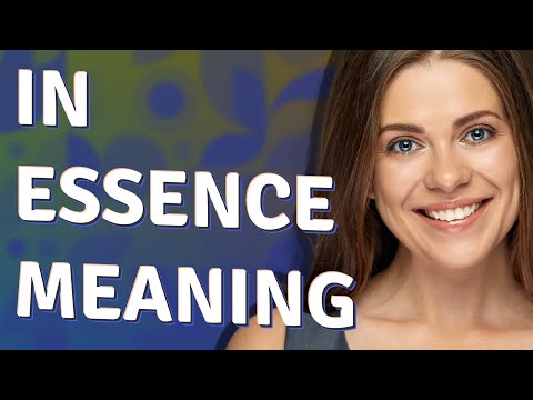 In essence | meaning of In essence