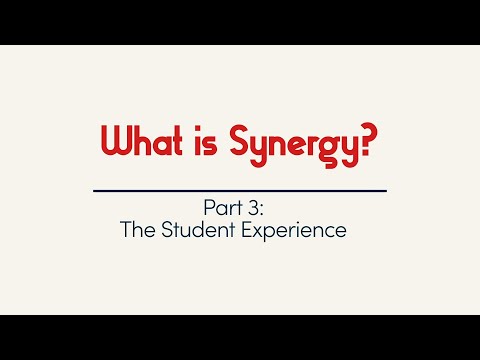 What is Synergy? | The Student Experience
