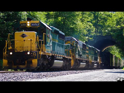 Five EMDs on America's Train