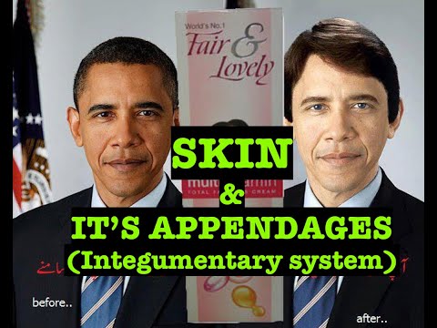 Skin & its appendages | Human Skin | Structure of skin | Layers of Skin |Hair