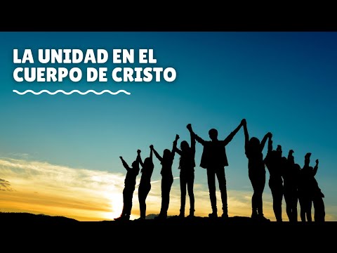 TOMi.digital - Creencia #14 La unidad en el cuerpo de Cristo