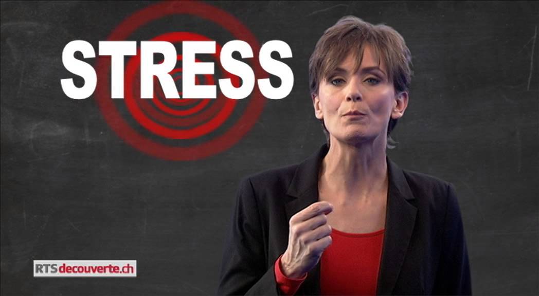 Qu'est-ce que le stress ?