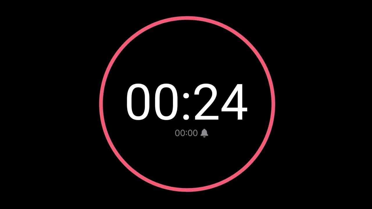 24 Second Countdown Timer / iPhone Timer Style
