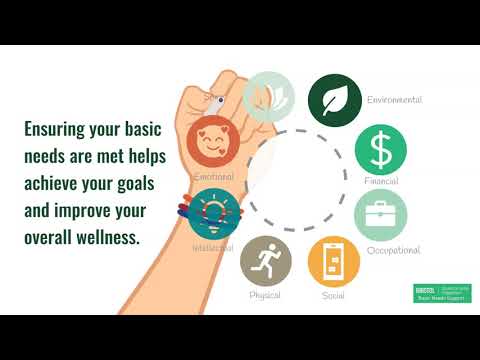 What are Basic Needs and Why are they Important?