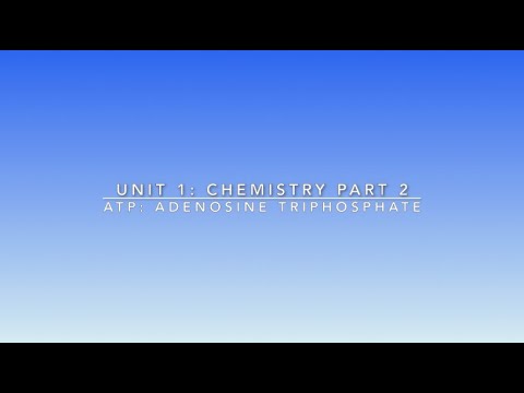 ATP: Adenosine Triphosphate | Lime the Tutor | Premed Anatomy and Physiology