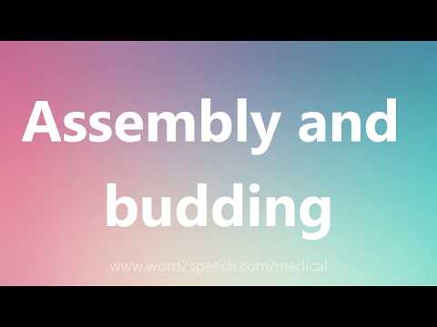 Assembly and budding - Medical Meaning