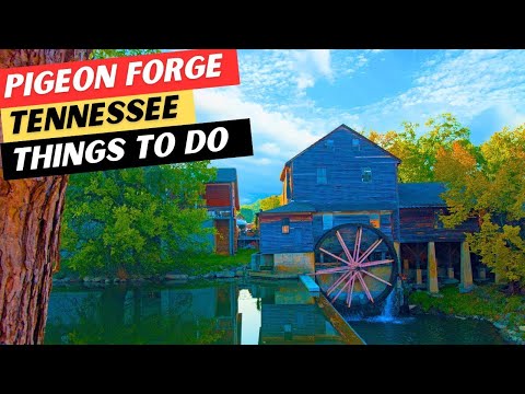 20 INCREDIBLE Things To Do In Pigeon Forge, TN + 5 GREAT Restaurants