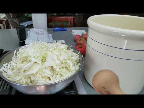 Traditional Sauerkraut in a crock Harvest to Crock, Easy step by step