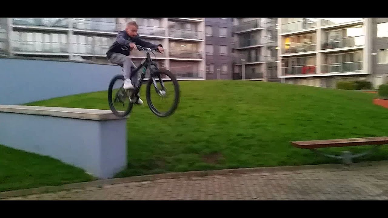 probro official intro v. 02