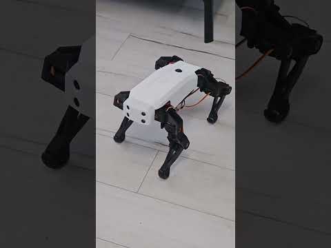 🤖 ROKI Quadruped robot・ 3D File for 3D printing・Cults