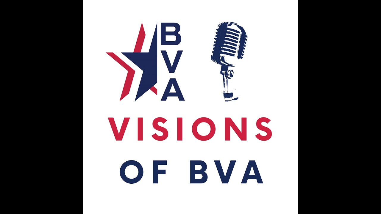 News and Updates: BVA Happenings - Milestones, Resources, and Holiday Wishes
