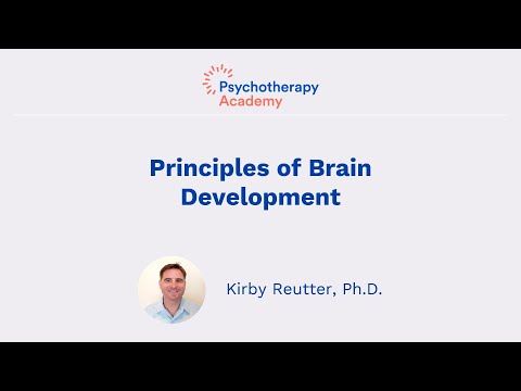 Four Stages of Brain Development