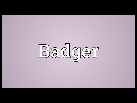 Badger Meaning