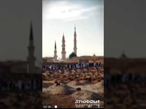 Jannatul baqi video #shortvideo​ #jannatulbaqi​ #video​ #trending​ #shorts​ | Mubarak Studio