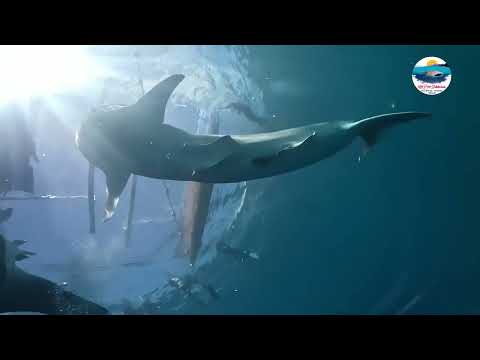 Desa Wisata Botubarani