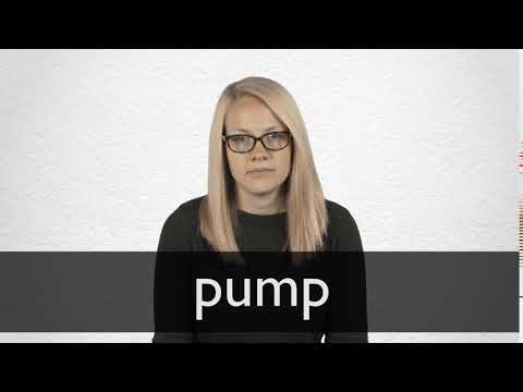 PUMP definition in American English | Collins English Dictionary