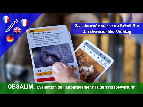 La méthode OBSALIM: Une nouvelle méthode d'évaluation de l'affouragement des vaches laitières