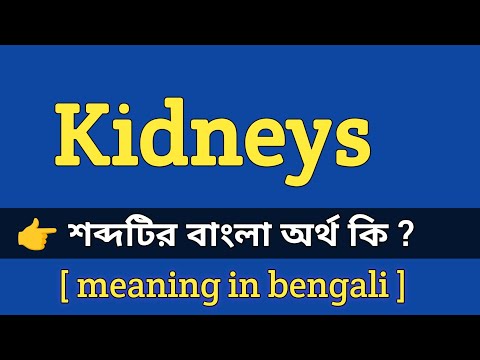 Kidneys Meaning in Bengali With Example || Kidneys শব্দটির বাংলা অর্থ কি হবে ?