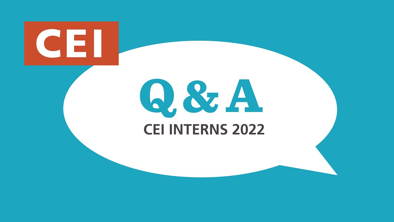 CEI 2022 Intern Reflections