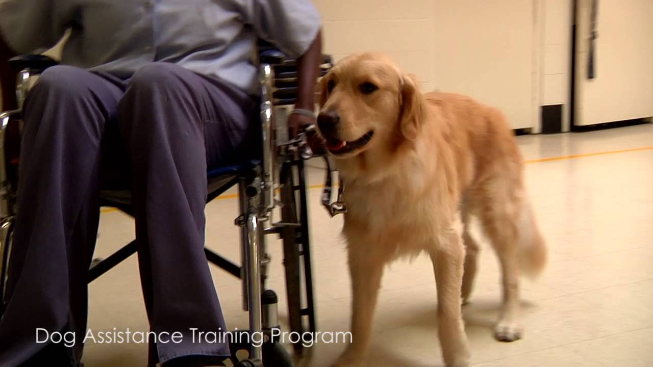 A Look Inside: Dayton Correctional Institution
