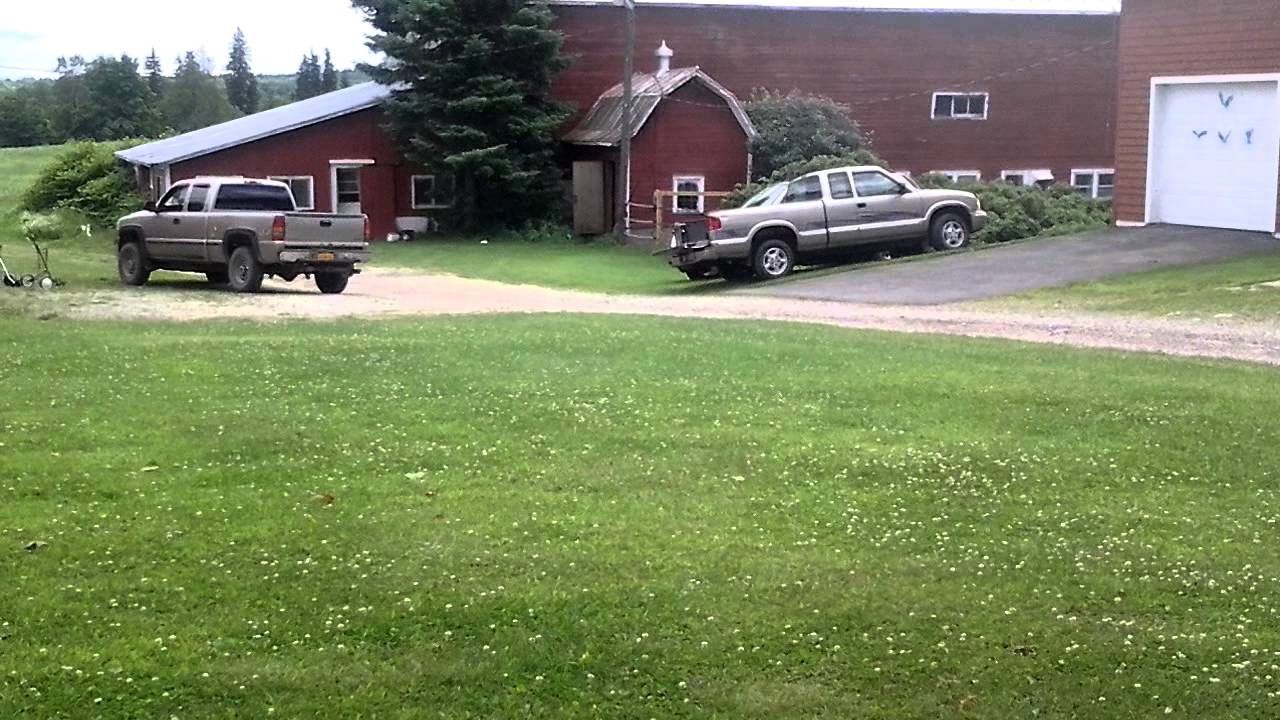 Amish Up On Roof, Lucy On The Bench