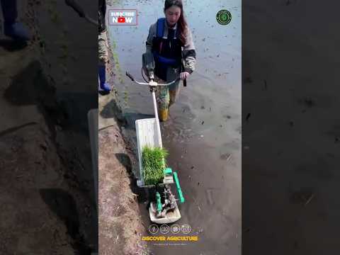 Rice Planting Machine