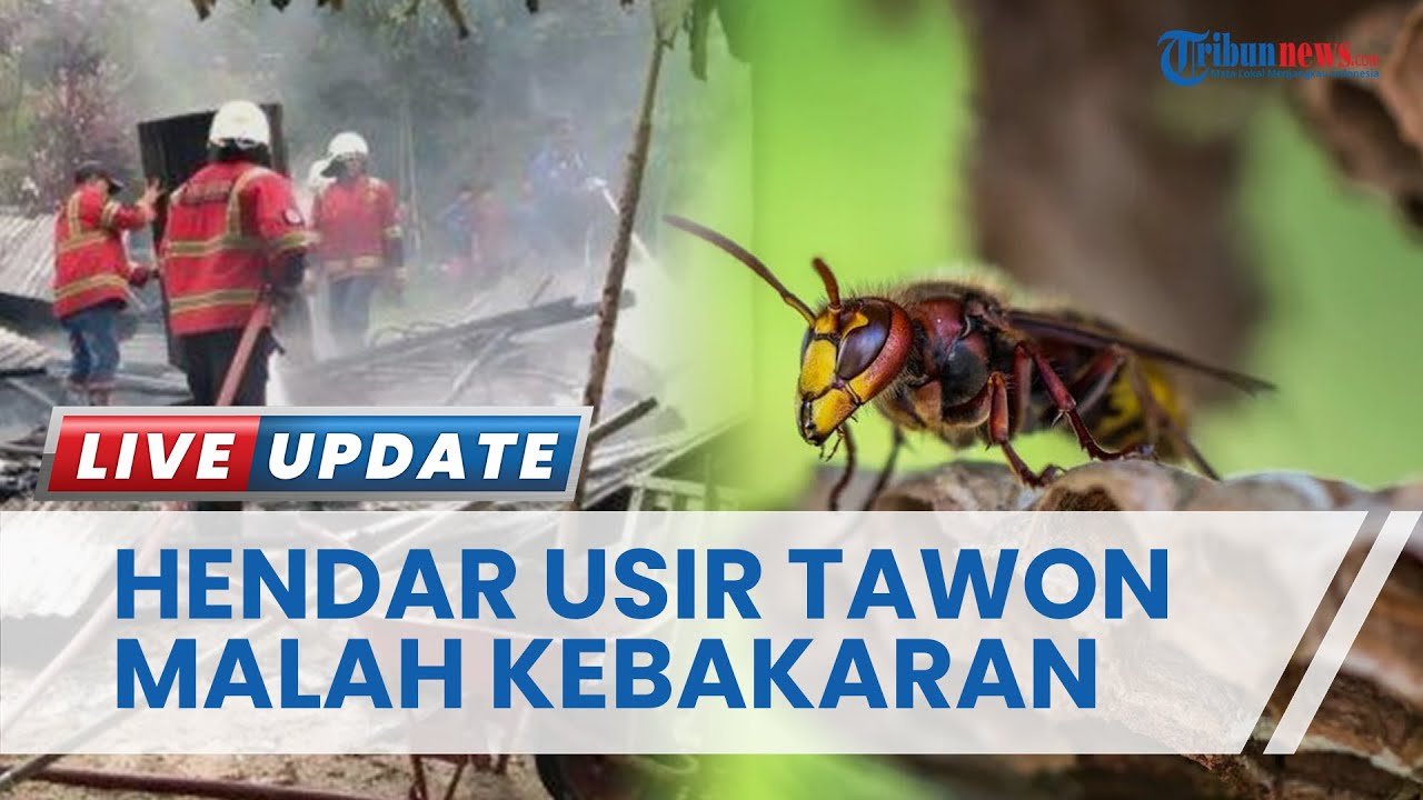 Niat Bakar Sampah Daun untuk Usir Tawon, Gudang Barang Bekas di ... Niat Bakar Sampah Daun untuk Usir Tawon, Gudang Barang Bekas di ...