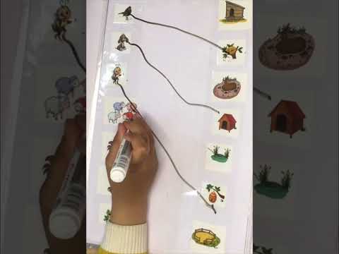 Brain boosting worksheet/ Animals and its habitat/ age 3.6+