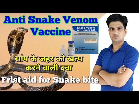 Anti Venom Injection - Anti Snake Venom Latest Price, Manufacturers ...