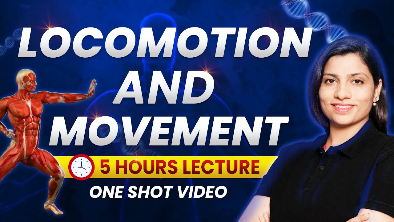 Understanding Locomotion and Movement in Human Physiology | Galaxy.ai