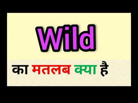Wild meaning in hindi || wild ka matlab kya hota hai || word meaning english to hindi
