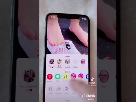 The Coolest TikTok Trend Ever TikTok: joydt1