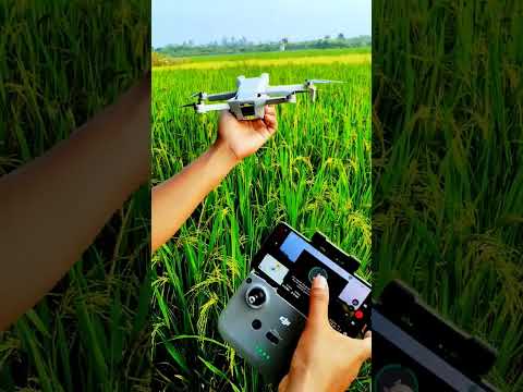 Dji mini 3 Drone flying 😍 #shorts #trending #djimini3pro
