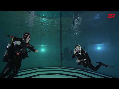 Controlled Free Descent with Dive Buddy - Recreational Diving Skills