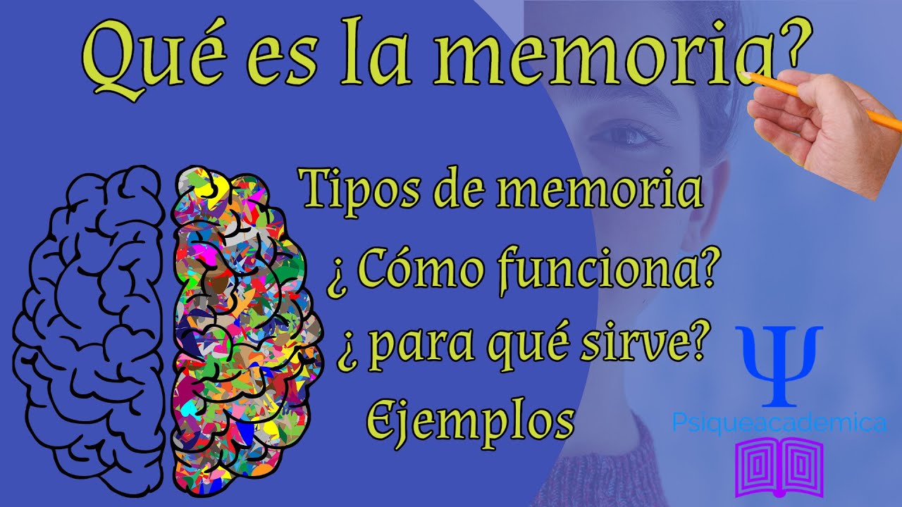 que es la memoria? / memoria / procesos psicologicos / psiqueacademica